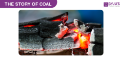How is Coal Formed? - Definition, Mining & Uses with Videos of Coal ...