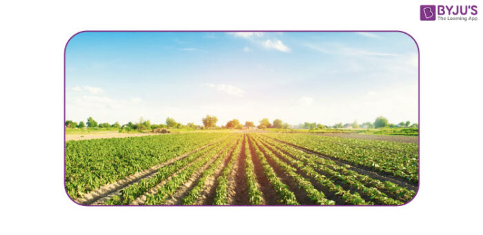 Agriculture and Fertilizers - An Overview, Types and its Uses
