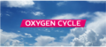 Oxygen Cycle - Meaning, Steps & Diagram with Images and FAQs