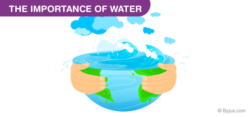 Importance of Water - List of Important Uses of Water + Video