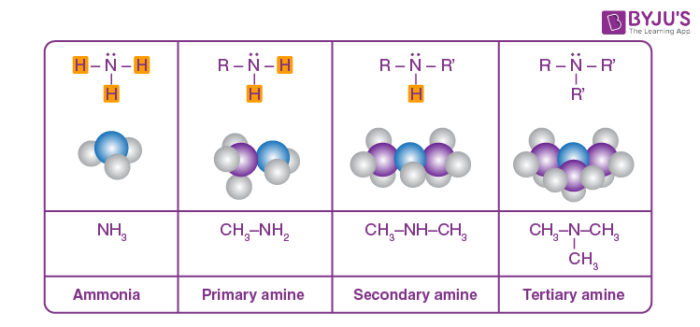 Amines - Formula, Structure, Nomenclature, Classification, Preparation ...
