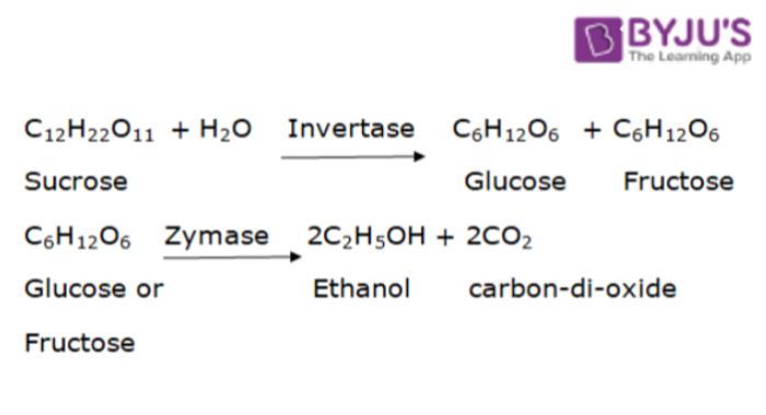Important Questions for Class 12 Chemistry Chapter 11 - Alcohols ...