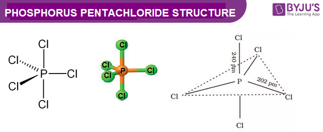 Important Questions for Class 12 Chemistry Chapter 7 – P – Block ...