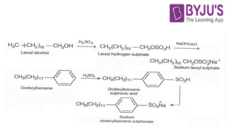 Important Questions for Class 12 Chemistry Chapter 16 – Chemistry in ...