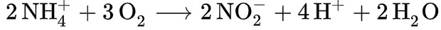 Nitrogen Cycle: Introduction, Steps, and its Importance