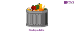 Biodegradable And Non-Biodegradable - Definition & Examples of ...