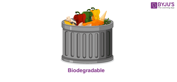 Biodegradable And Non-Biodegradable - Definition & Examples of ...