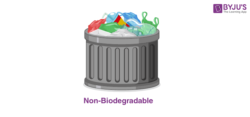 Biodegradable And Non-Biodegradable - Definition & Examples of ...