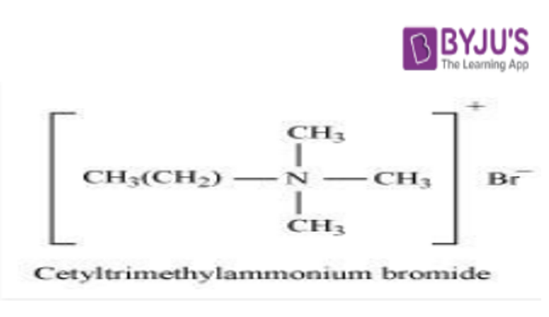 Important Questions for Class 12 Chemistry Chapter 16 – Chemistry in ...