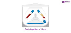 Centrifugation - Centrifuge Definition, Centrifuge Machine, Examples