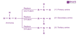 Physical Properties of Amines with Characteristics and Classification