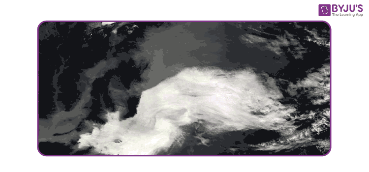 Effect of Burning Fossil Fuels on the Environment | BYJU'S