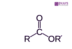 Ester - Definition, Structure, Esterification along with Properties & Uses