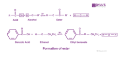 Ester - Definition, Structure, Esterification along with Properties & Uses