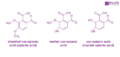 Homologous Series of Alkanes, Alkenes and Alkynes with Examples