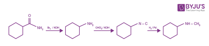 Important Questions for Class 12 Chemistry Chapter 13 - Amines Class 12 ...