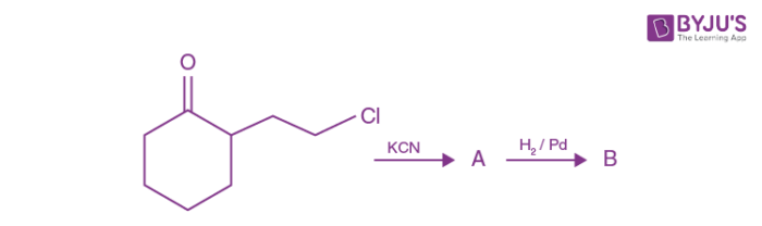 Important Questions for Class 12 Chemistry Chapter 13 - Amines Class 12 ...