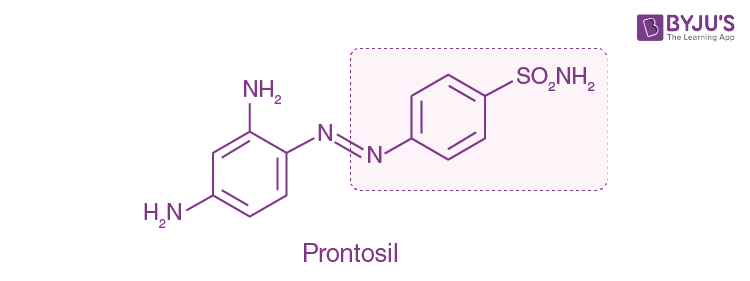 Important Questions for Class 12 Chemistry Chapter 16 – Chemistry in ...