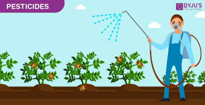 Pesticides - Definition, Types, Uses, and Harmful Effects