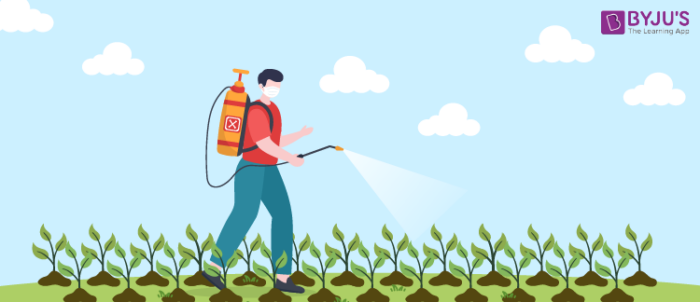 Pesticides - Definition, Types, Uses, and Harmful Effects