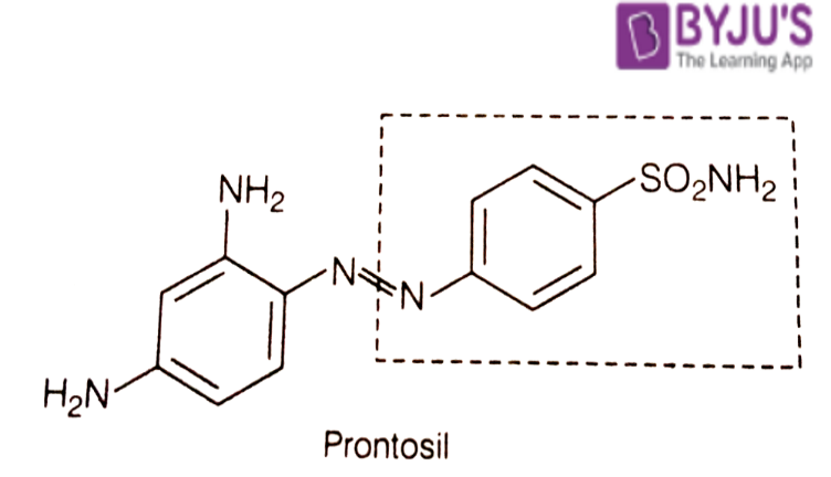 Important Questions for Class 12 Chemistry Chapter 16 – Chemistry in ...
