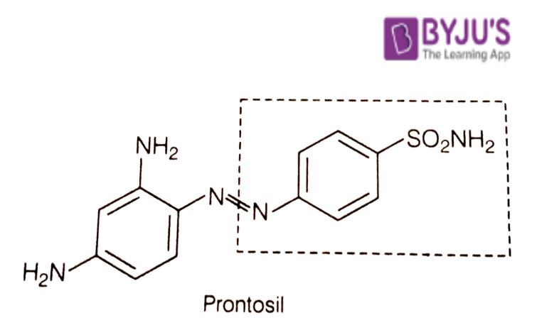 Important Questions for Class 12 Chemistry Chapter 16 – Chemistry in ...
