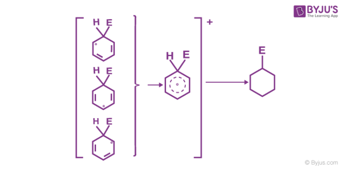 Electrophilic Aromatic Substitution of Benzene with Mechanism and Examples