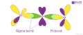 Sigma and Pi Bonds - Definition and Detailed Explanation