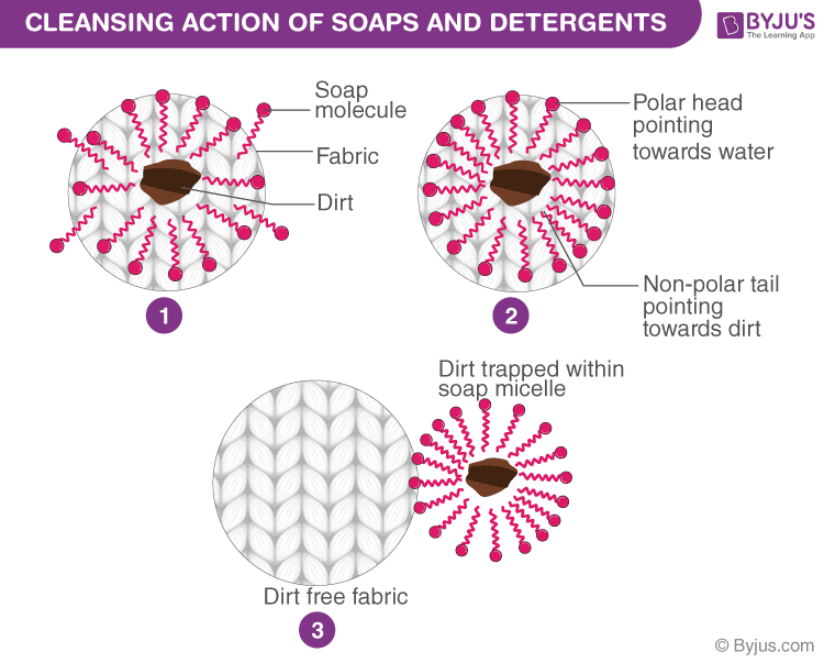 Cleansing Action Of Soaps And Detergents - Micelle Formation & Action