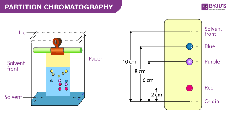 Chromatography Principle and its Types - Definition, Principle, Types ...