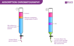 Chromatography Principle and its Types - Definition, Principle, Types ...