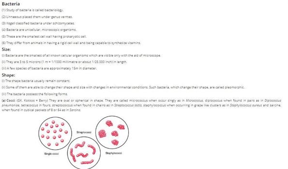 Class 12 Biology Chapter 10 Revision Notes - Microbes in Human Welfare