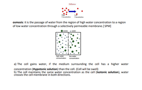 Revision Notes for Class 9 Science Chapter 5 The Fundamental Unit of ...
