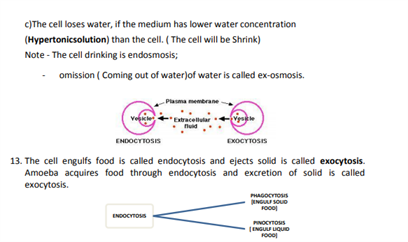 Revision Notes for Class 9 Science Chapter 5 The Fundamental Unit of ...