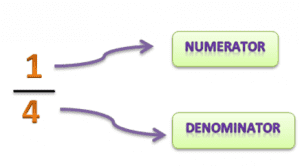 Fractions - Basic Concepts, Representation, Types and Examples