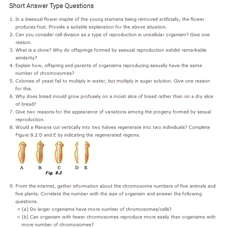 Important Questions For Class 10 Science Chapter 8 How Do Organisms Important Questions For Class 10 Science Chapter 8 How Do Organisms