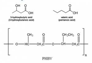 Biodegradable Polymers Examples