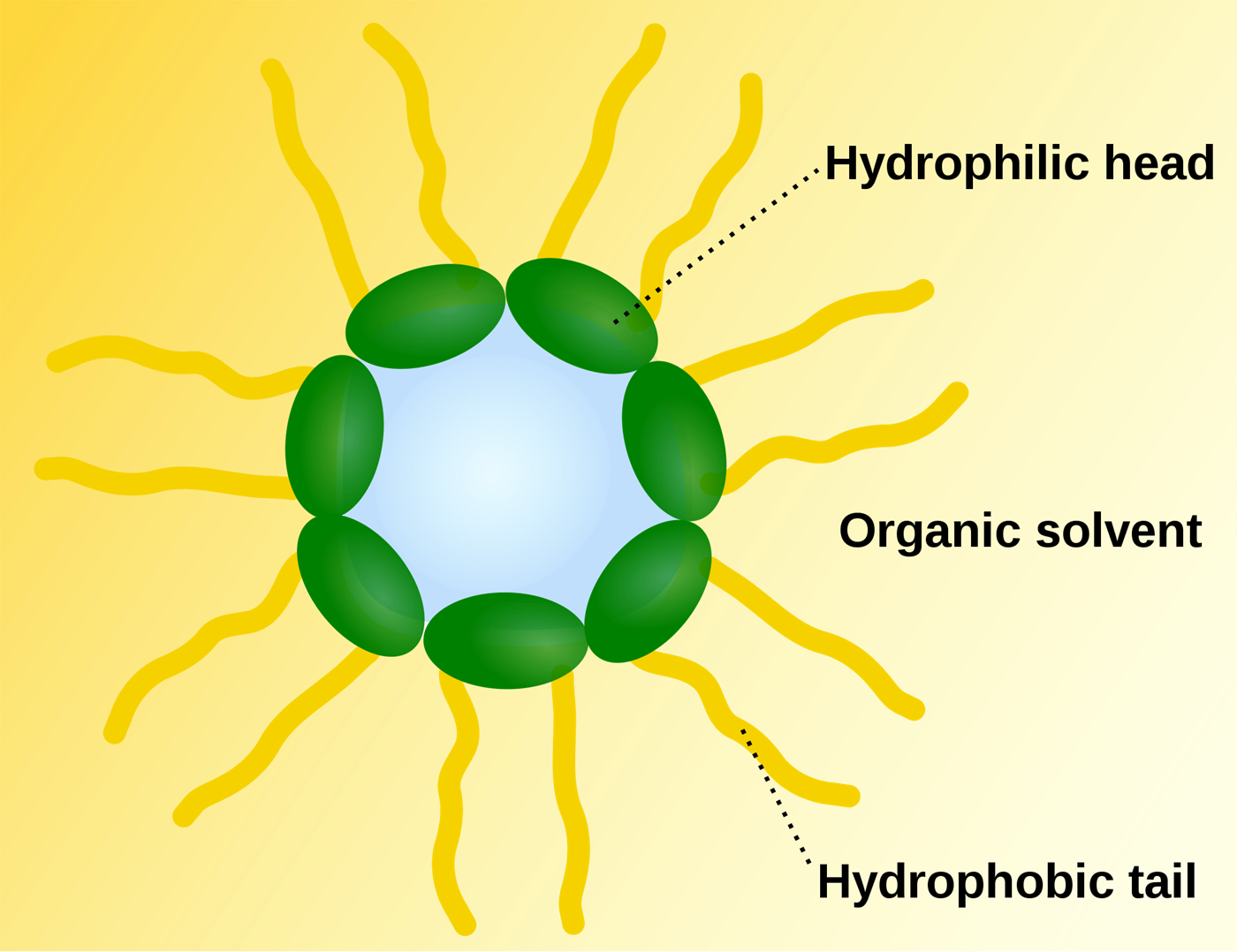 Micelle Reverse Micelles Supercells Applications Of Micelle