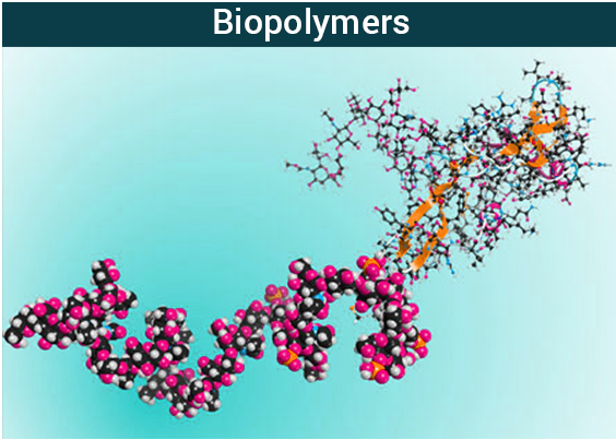 Biopolymers - Difference between Biopolymers & Synthetic Polymers