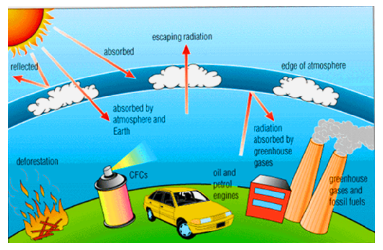 Environmental Chemistry In JEE Ozone Formation Reaction Mechanism JEE Class 11 12