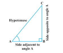 Introduction to Trigonometry Class 10 Chapter 8 Notes