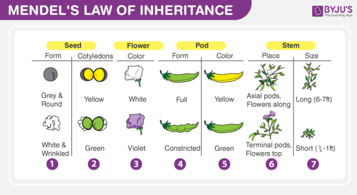 Principles of Inheritance and Variation for Class 12 Chapter 5 Biology ...