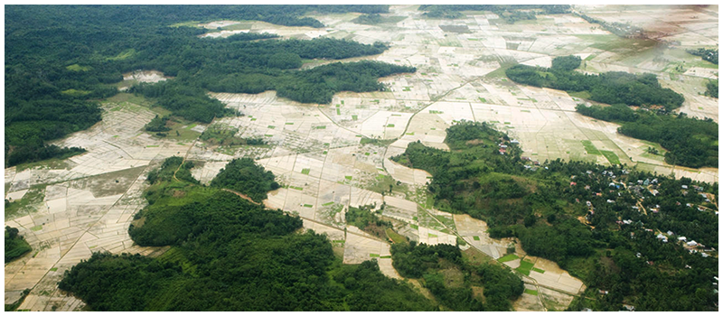 Deforestation - Definition | Causes and Effects of Deforestation