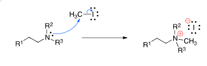Hofmann Elimination - Step-by-step Mechanism, Illustrations