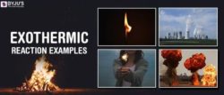 What are Exothermic Reactions? (with Examples and Video)