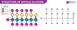 Structure Of Glucose and Fructose - Properties, Isomers, Steps To Draw ...