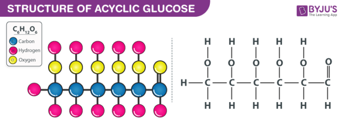 Structure Of Glucose and Fructose - Properties, Isomers, Steps To Draw the Structure Of Glucose ...