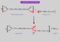 Condensation Polymerization - Get Full Description Along With Examples