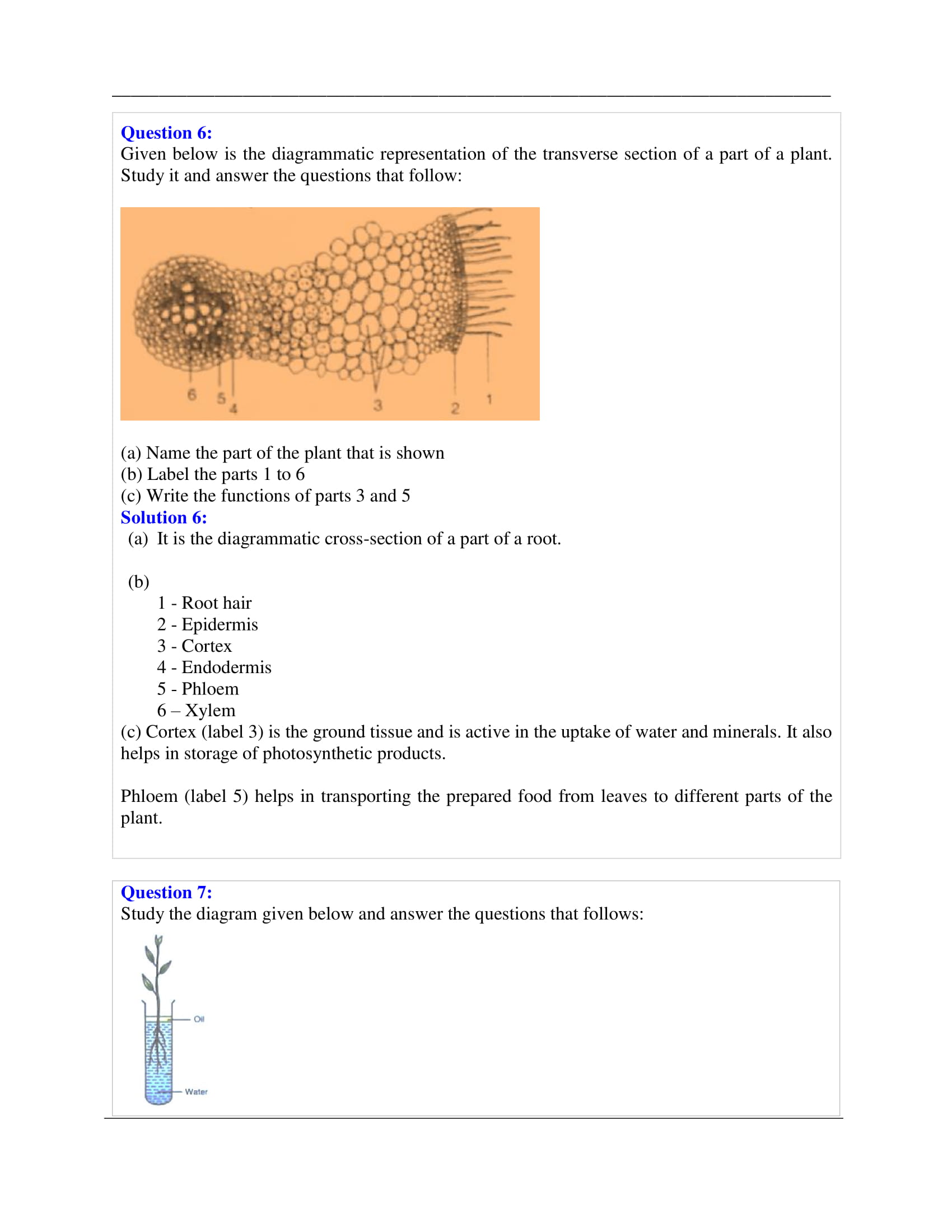 Selina Solutions Class 10 Concise Biology Chapter 3 Absorption By Roots
