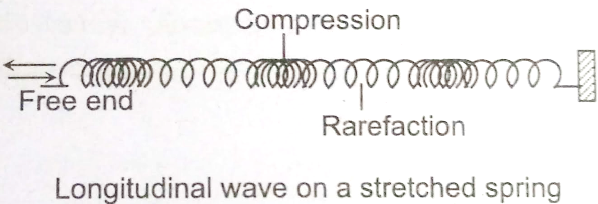 Wave Motion - Classification and Characteristics of Wave Motion